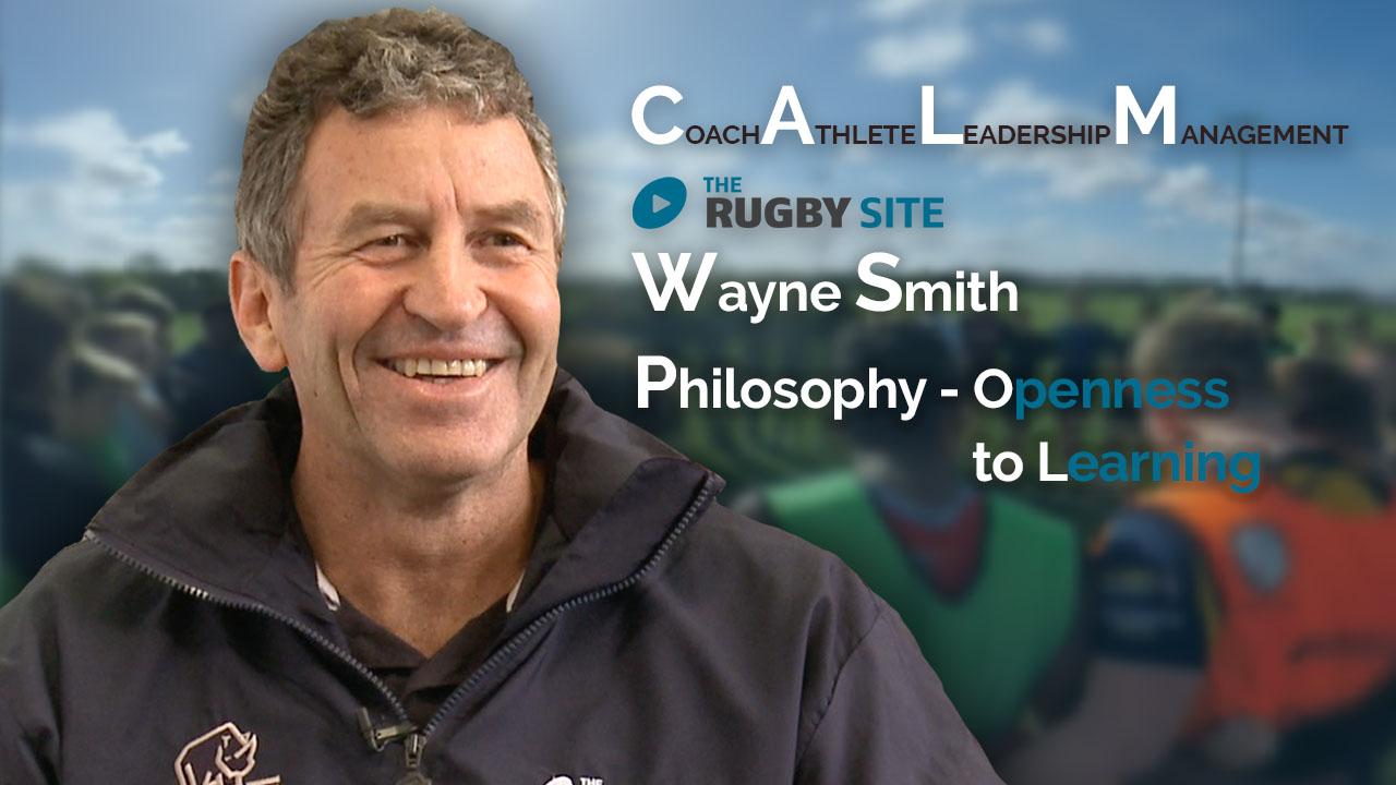 CALM Leaders – Athlete Learning Styles and Player Decision Making ...